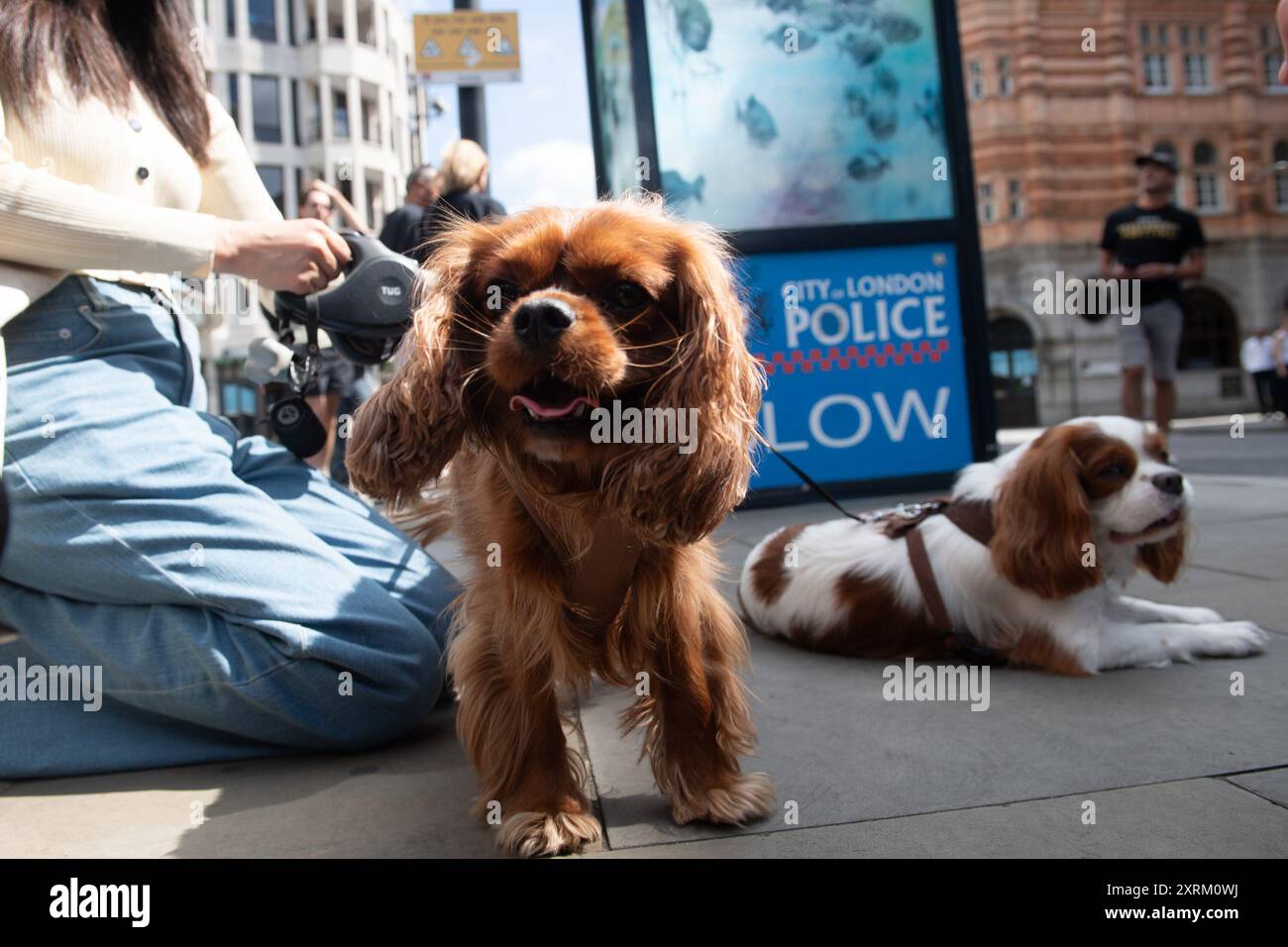 London, UK. 11 Aug 2024. People take photos of a seventh new mural by ...