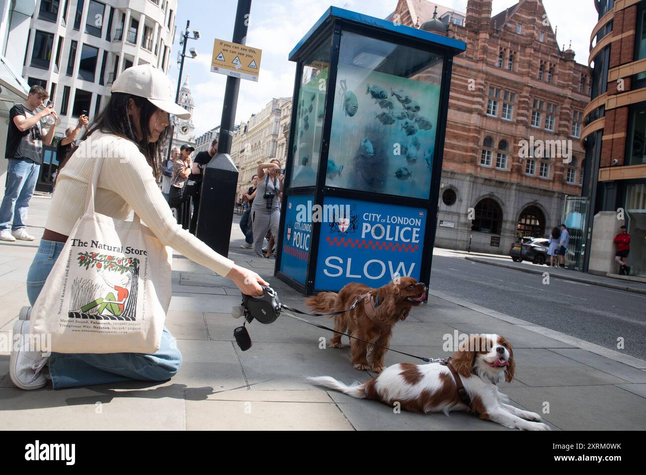London, UK. 11 Aug 2024. People take photos of a seventh new mural by ...