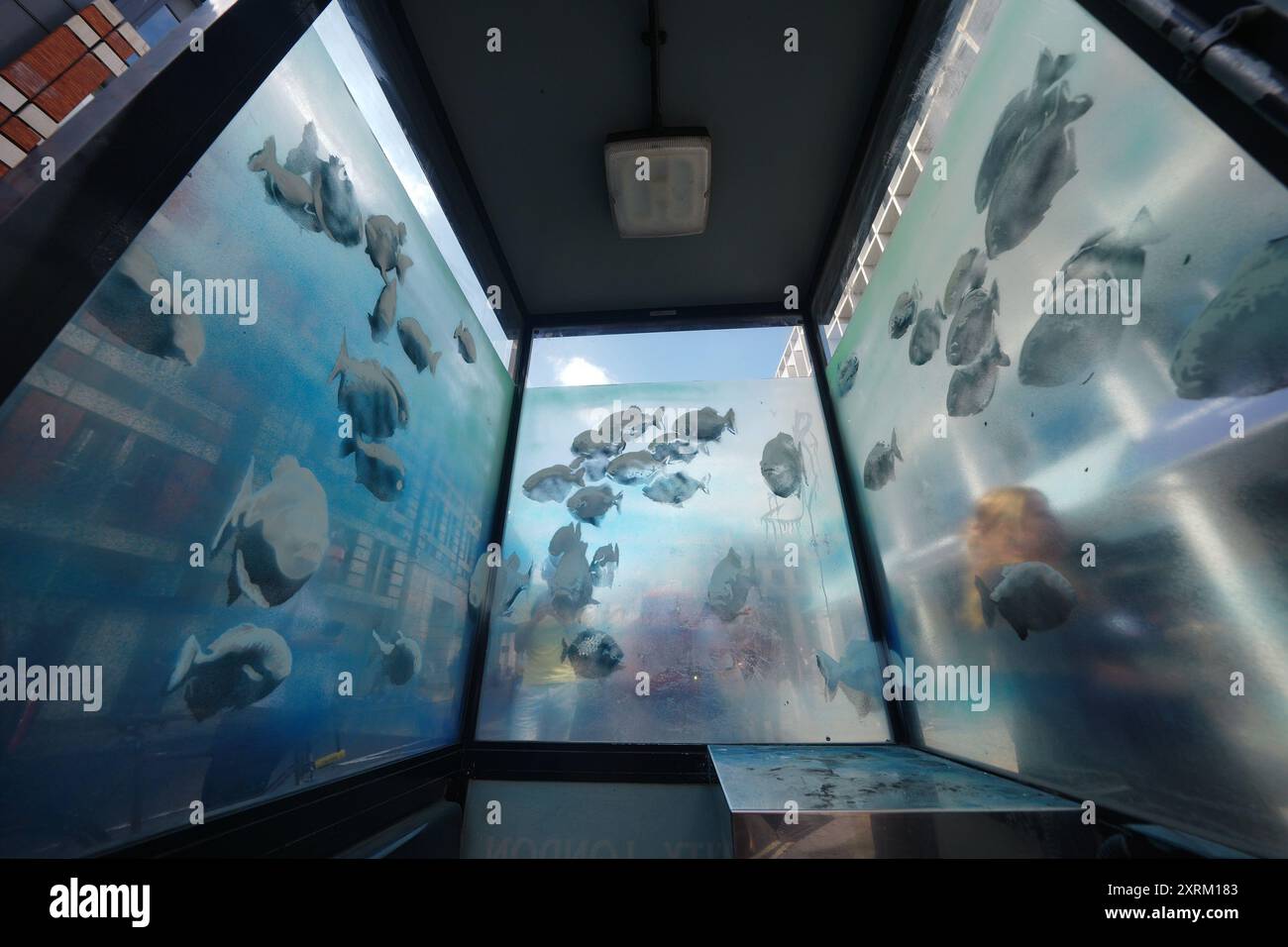 A new design of swimming fish by Banksy, has appeared on a police box ...