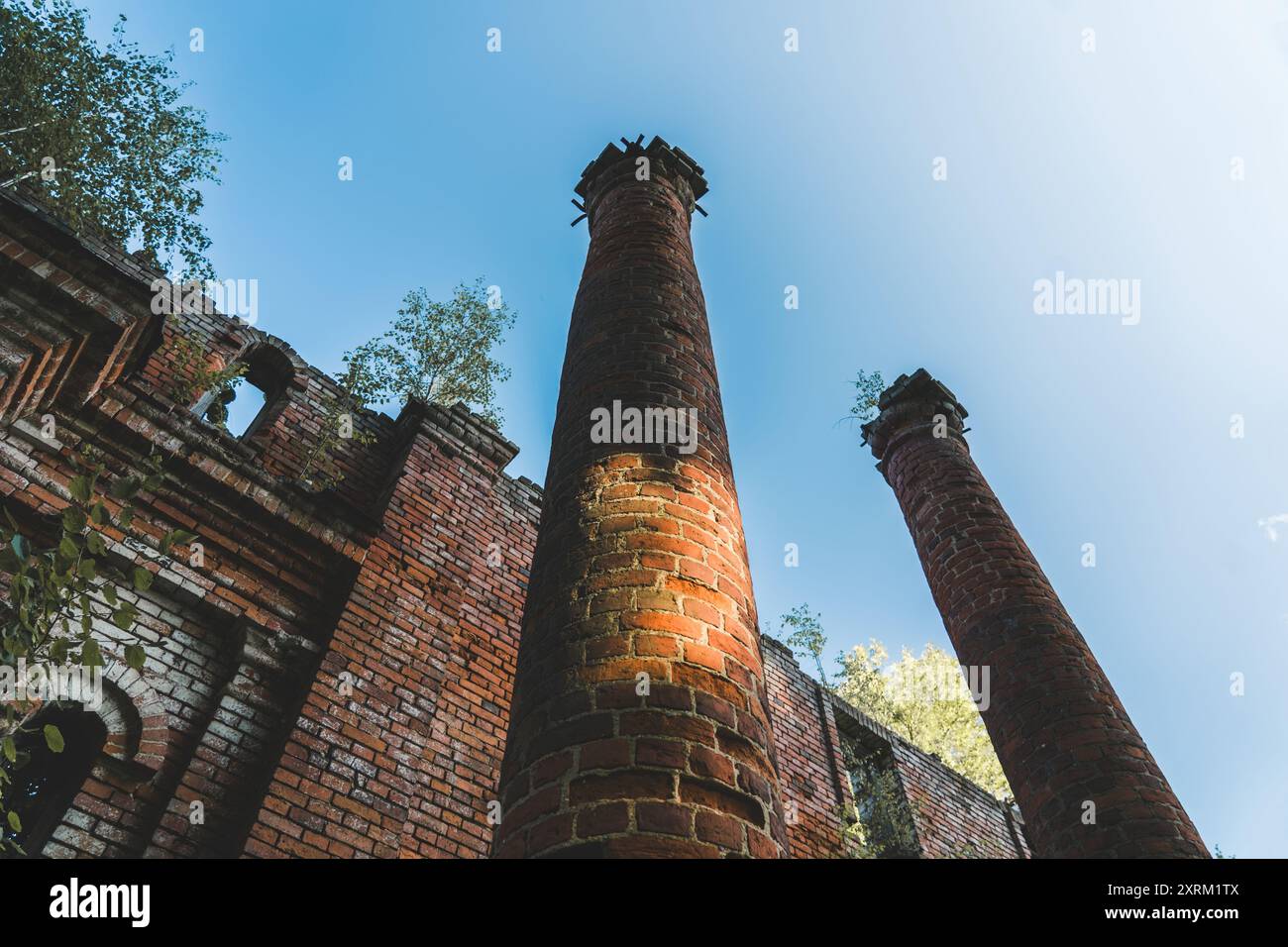 Bottom two columns hi-res stock photography and images - Alamy