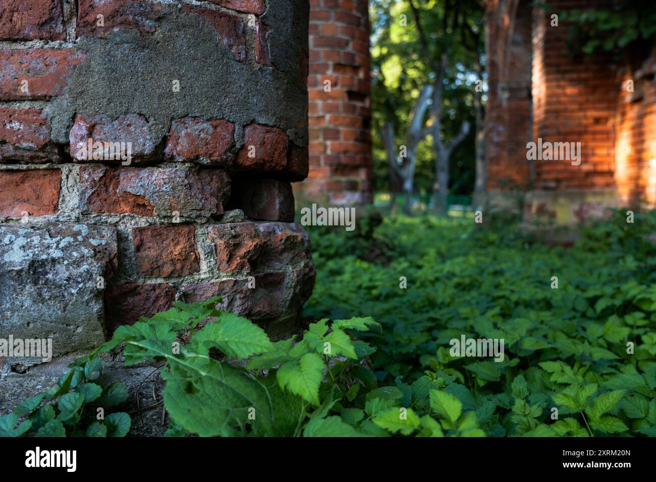 Old brick columns in the thick grass Stock Photo - Alamy