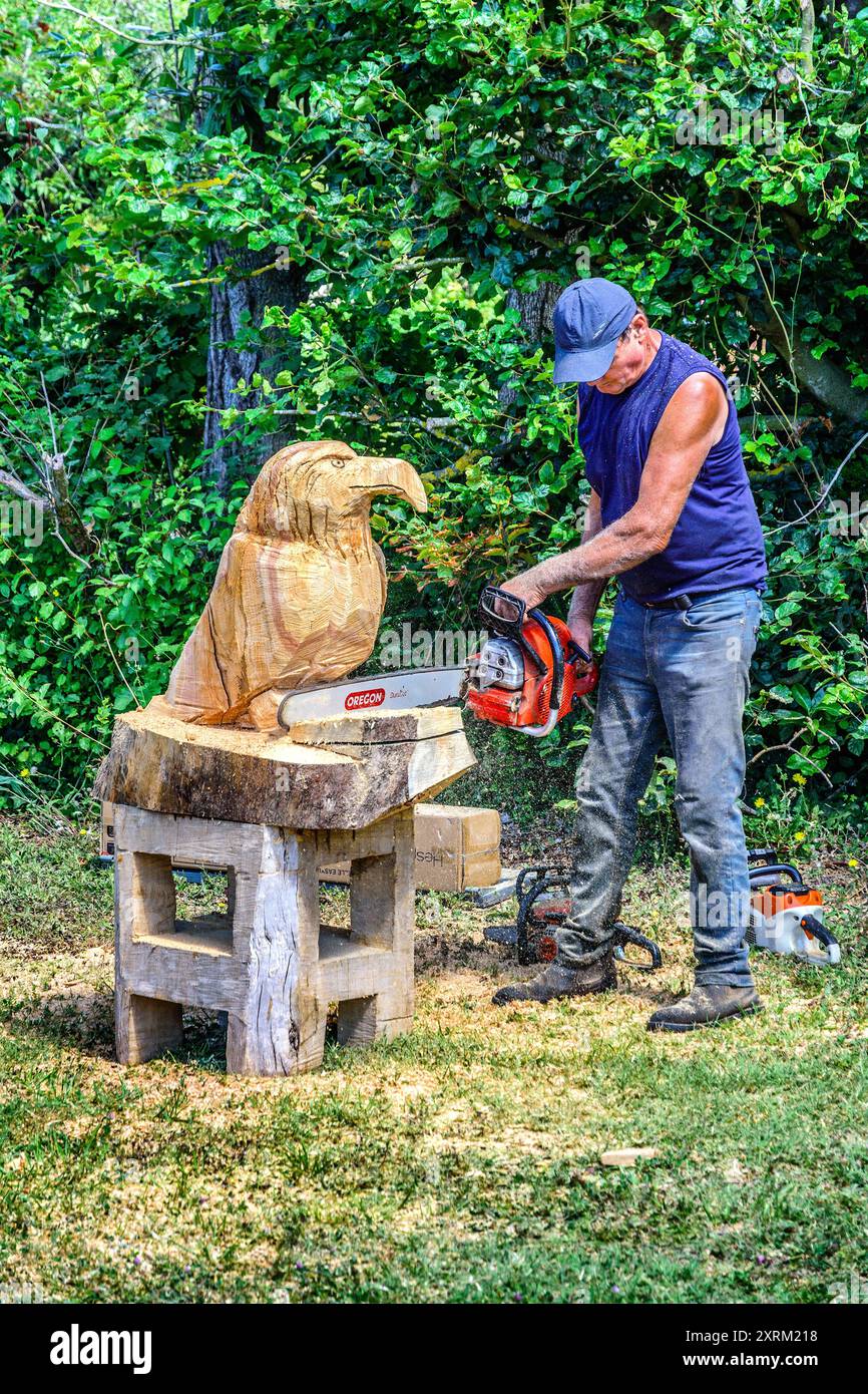Craftsman using Oregon DuraCut chain-saw to make sculptures from tree ...