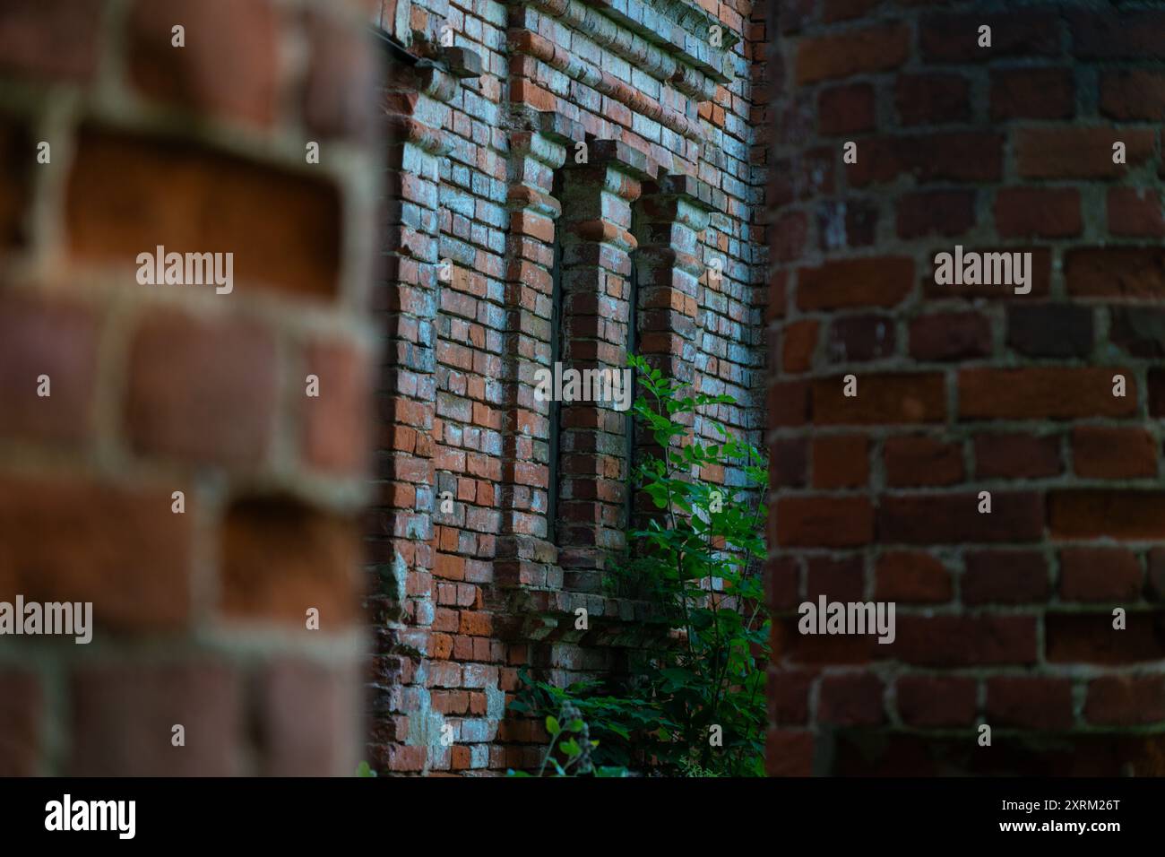 Vertical, old building windows through brick columns, framing Stock ...