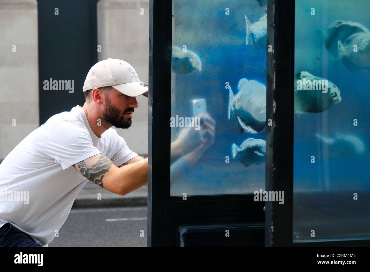 City of London, UK. 11th Aug 2024. 'Banksy' Piranha fish appear in City ...