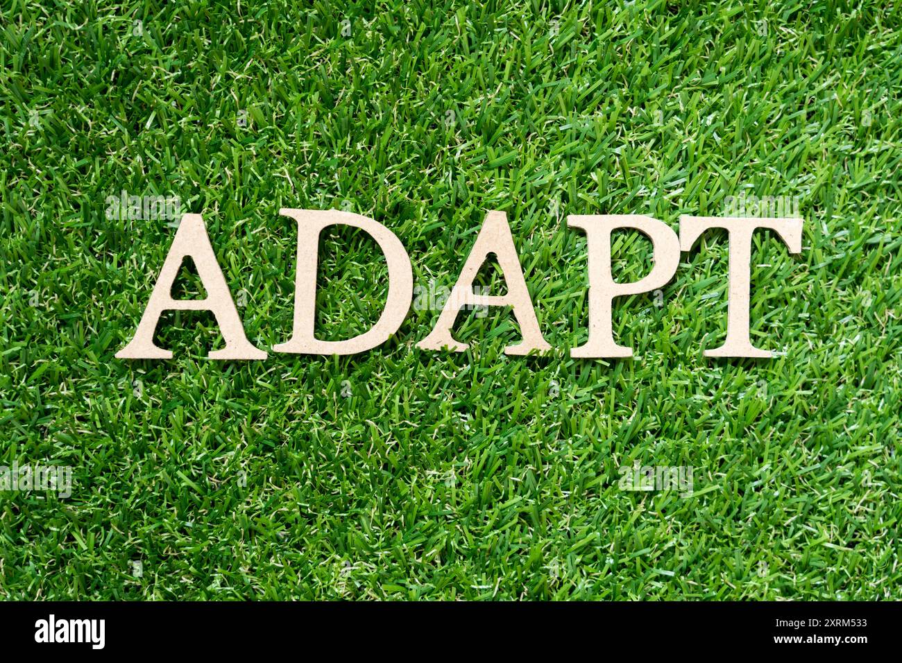 Wood alphabet letter in word adapt on artificial green grass background ...