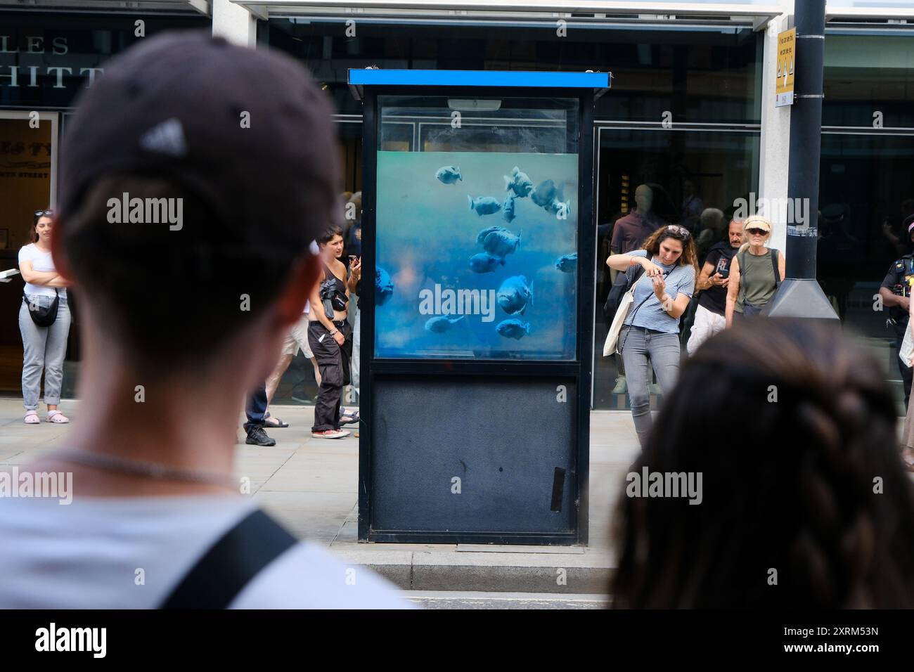 City of London, UK. 11th Aug 2024. 'Banksy' Piranha fish appear in City ...