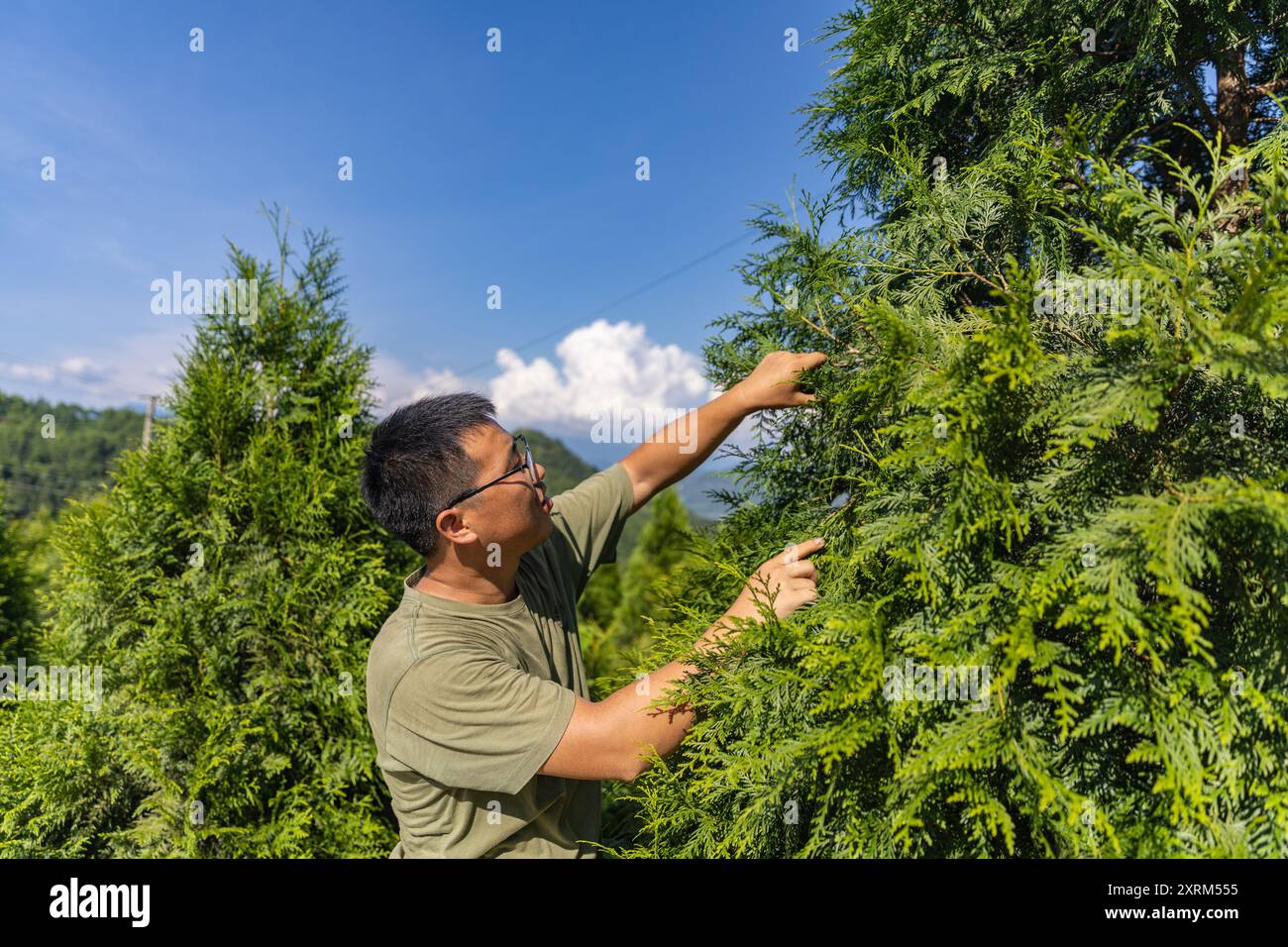 (240811) -- CHONGQING, Aug. 11, 2024 (Xinhua) -- A staff member of the ...