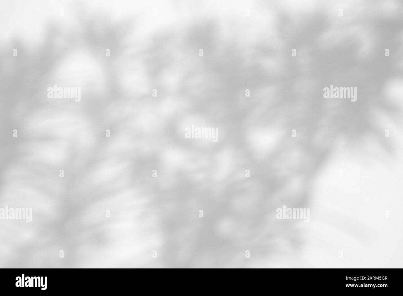 Abstract natural tree leaves shadow on white wall background Stock ...