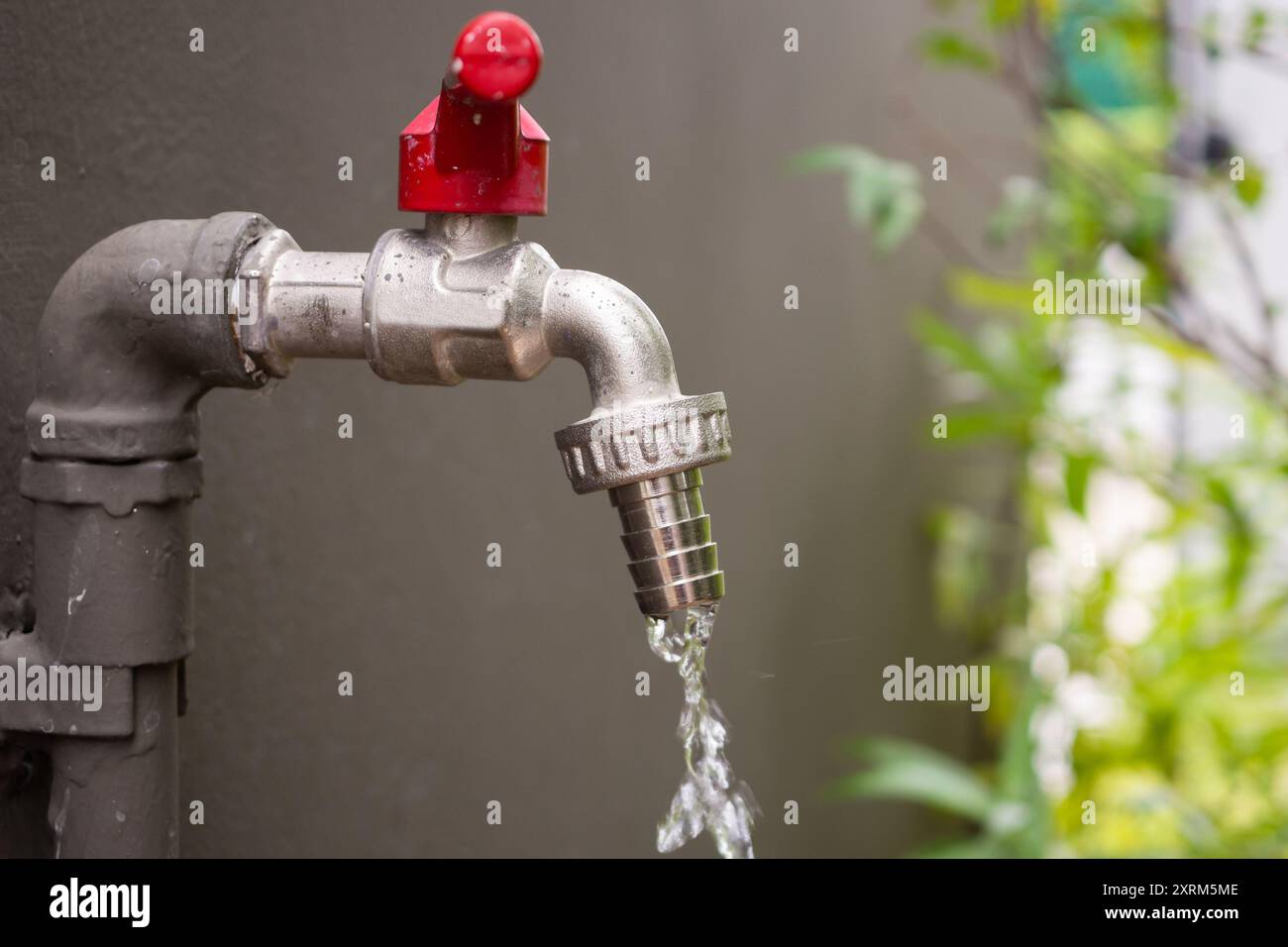 Close up water tap hi-res stock photography and images - Alamy