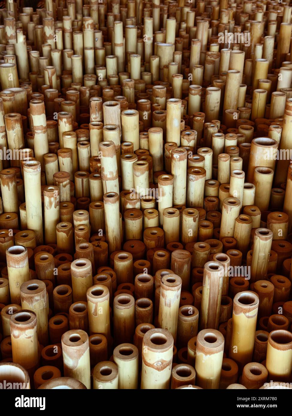 Another plant display hi-res stock photography and images - Alamy