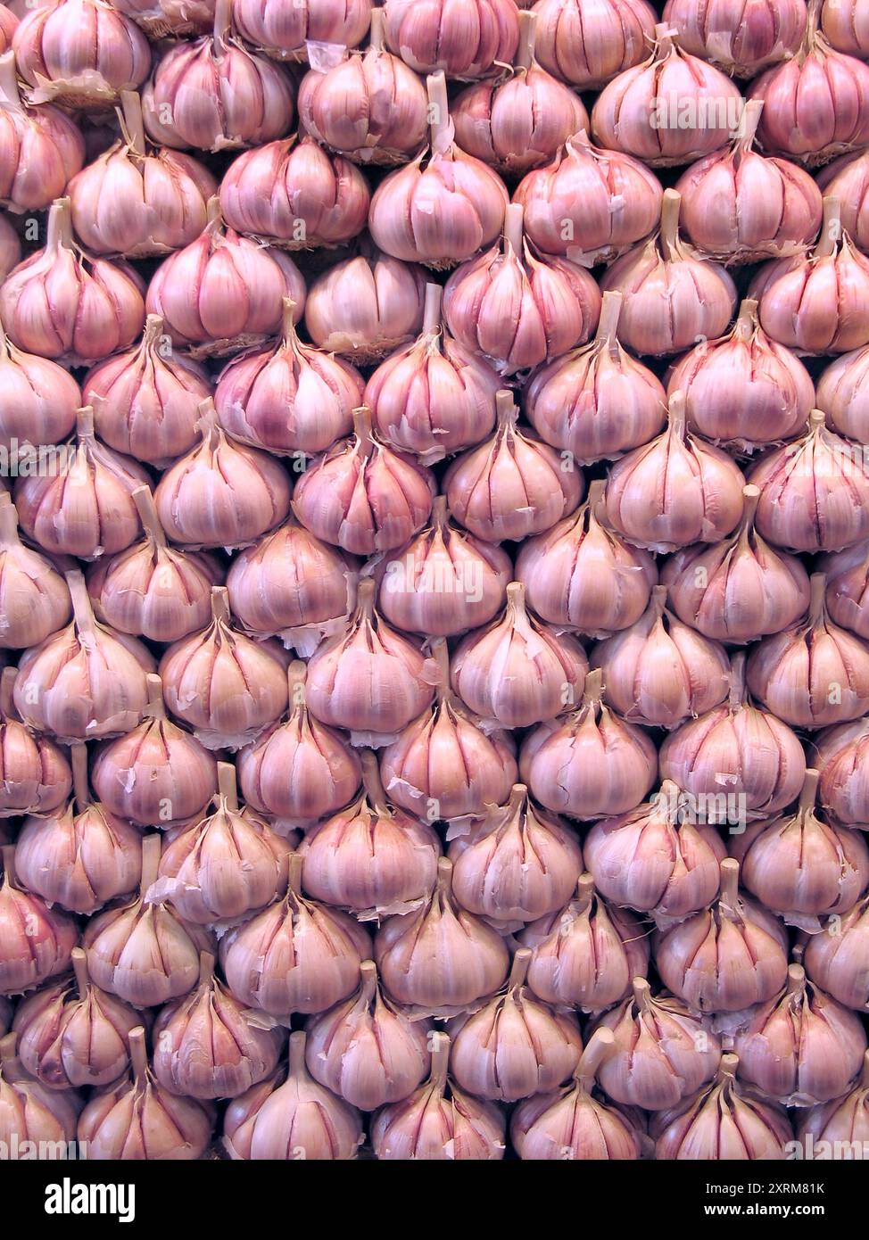 Close up garlic background hi-res stock photography and images - Alamy