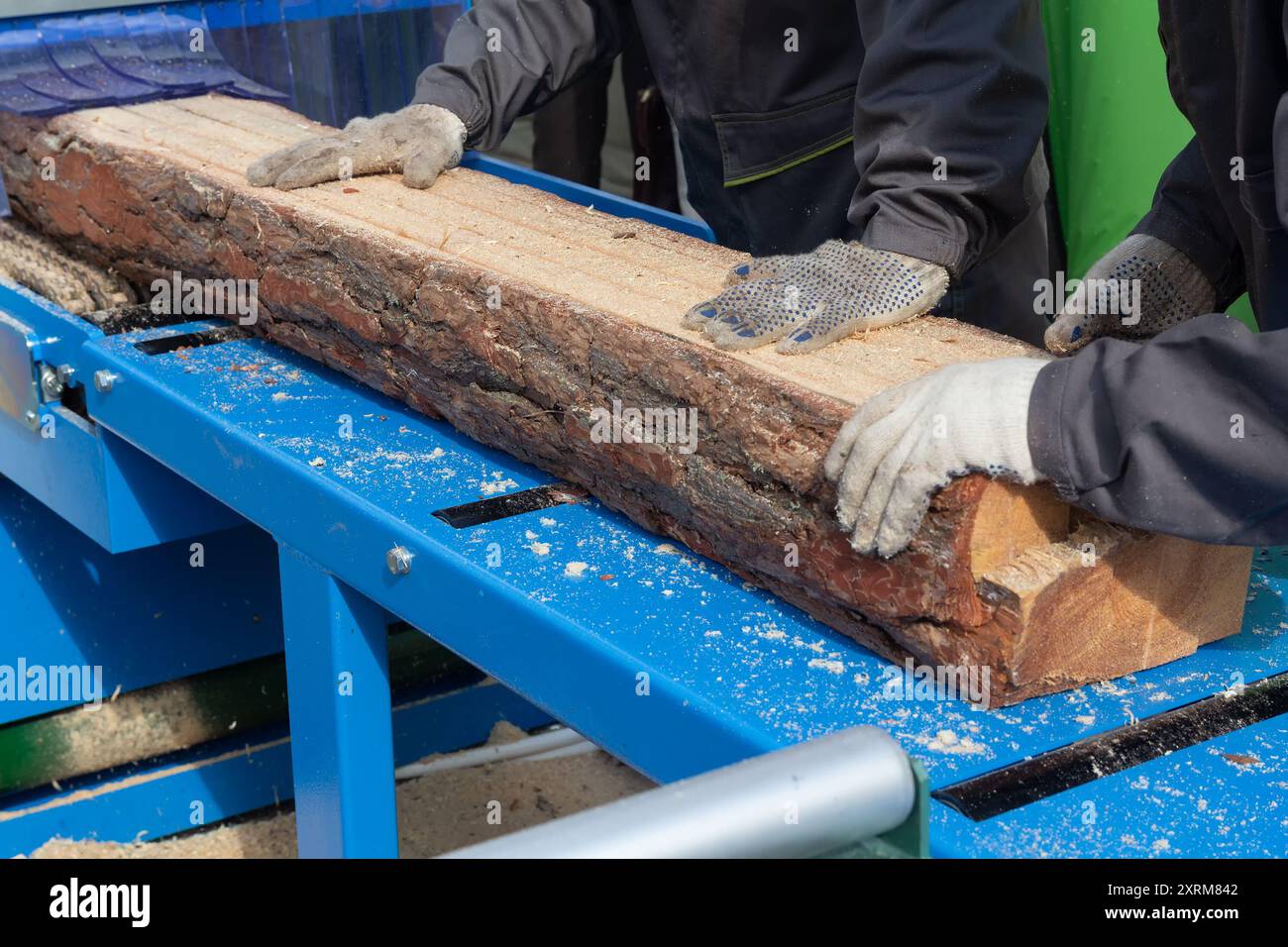 Workers sawing a log at a sawmill. Industry Stock Photo - Alamy