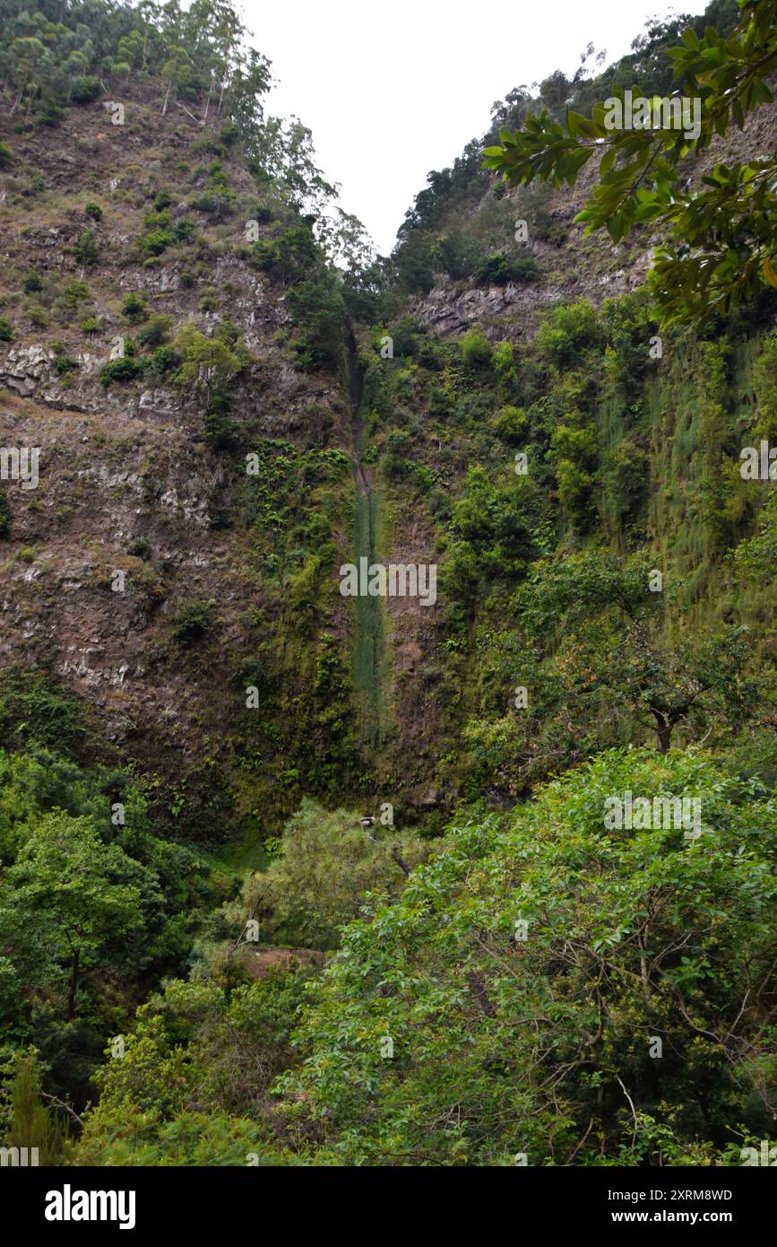 Nature trail on the island of Madeira waterfall without water Stock ...