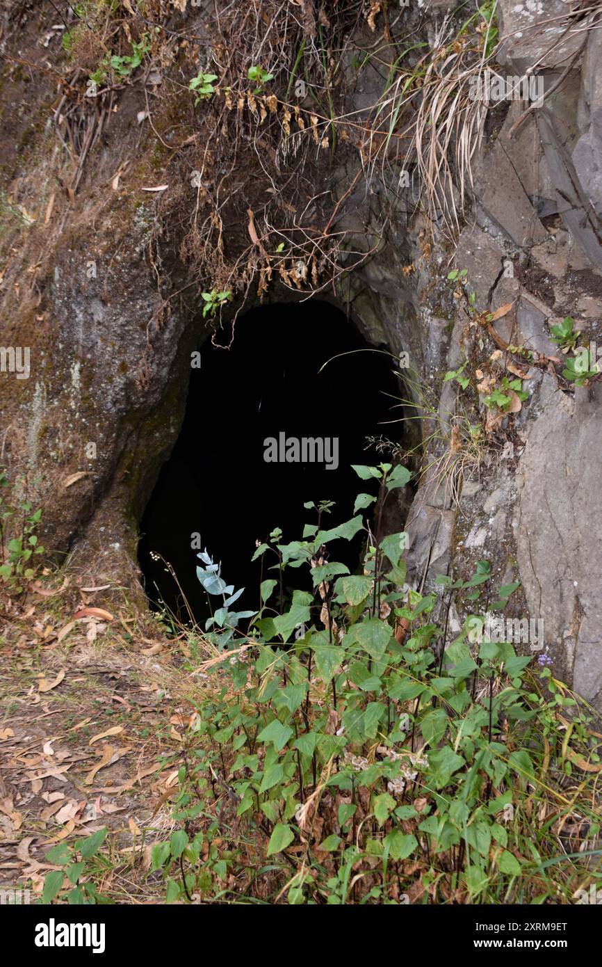 Entrance to the Bear Cave Stock Photo - Alamy