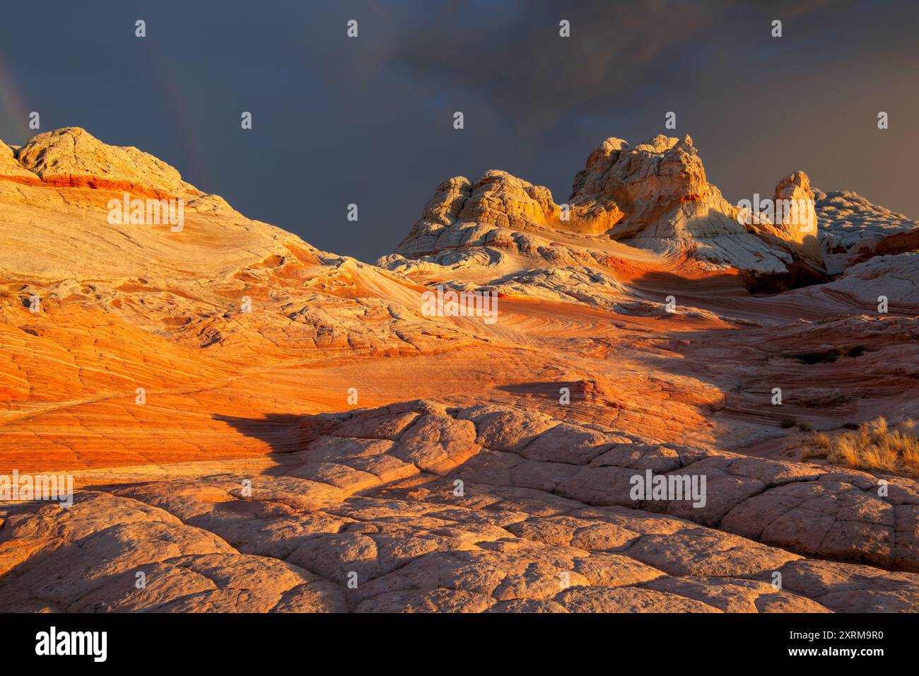 Beautiful sunset at incredible White Pocket rock formation in Vermilion ...