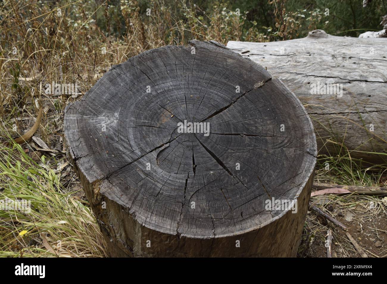 Smell of nature hi-res stock photography and images - Alamy