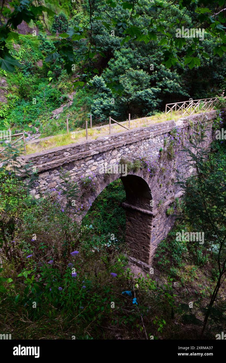 Old bridge with arch in nature, Madeira island Stock Photo - Alamy
