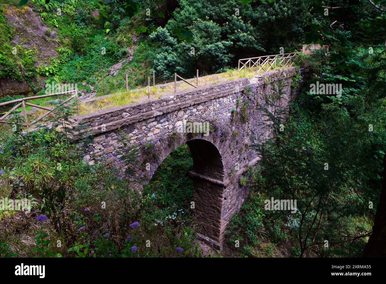 Old bridge with arch in nature, Madeira island Stock Photo - Alamy