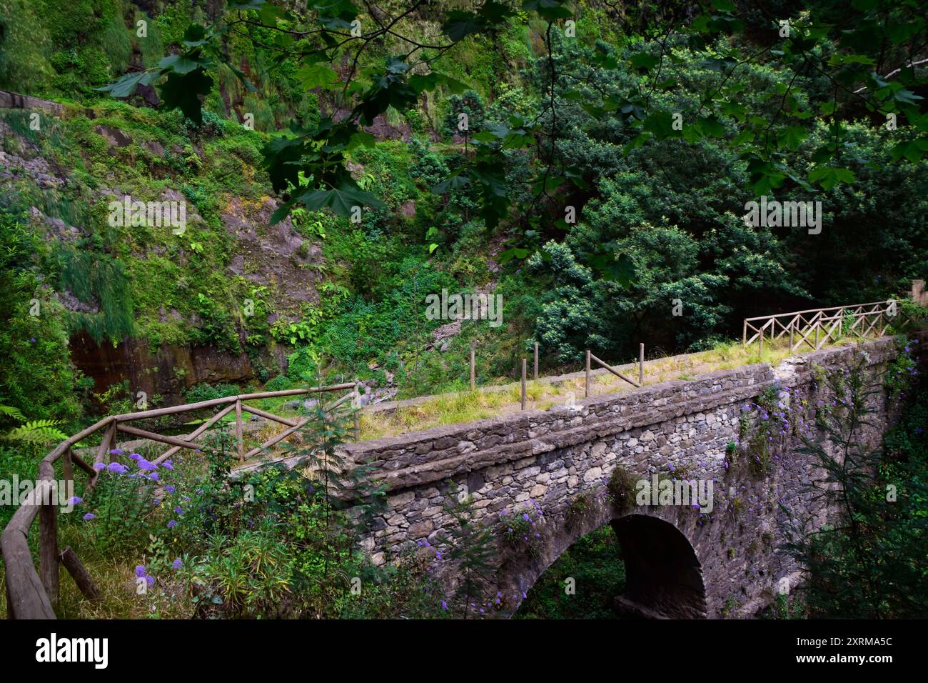 Old bridge with arch in nature, Madeira island Stock Photo - Alamy