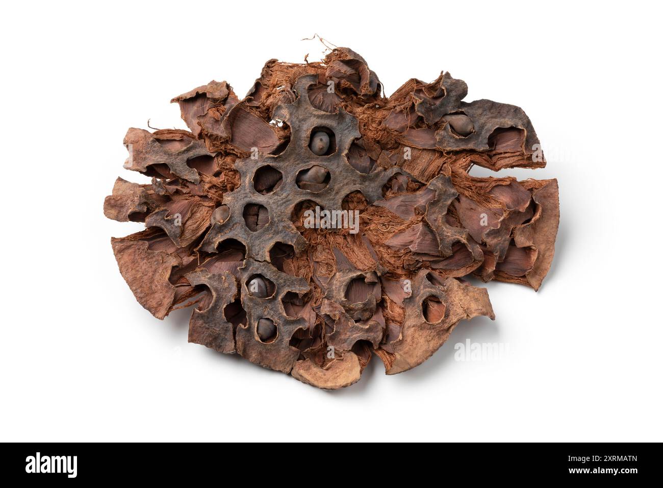 Dried lotus flower as an ingredient isolated on white background close ...