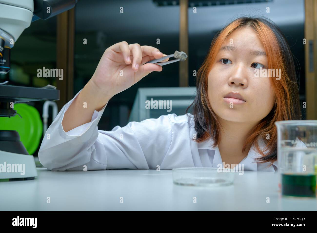 Little scientists analyze the composition of a stone or rock sample in ...