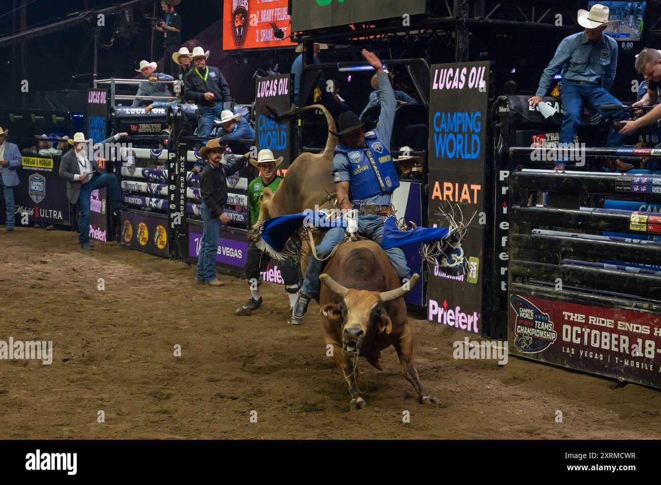 Utz bestex legend hi-res stock photography and images - Alamy