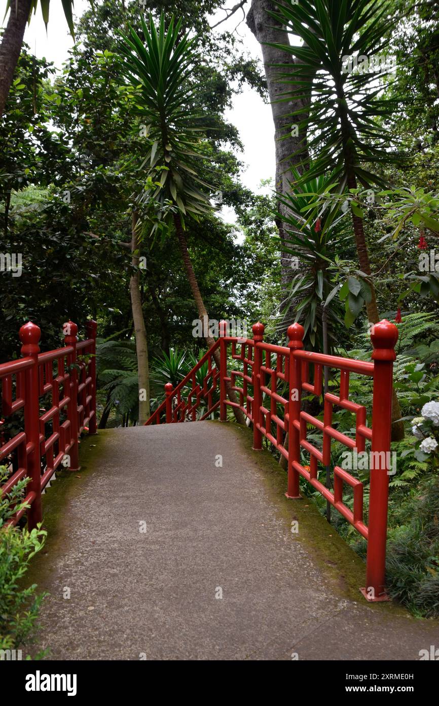 Japanese tradition flowers hi-res stock photography and images - Alamy