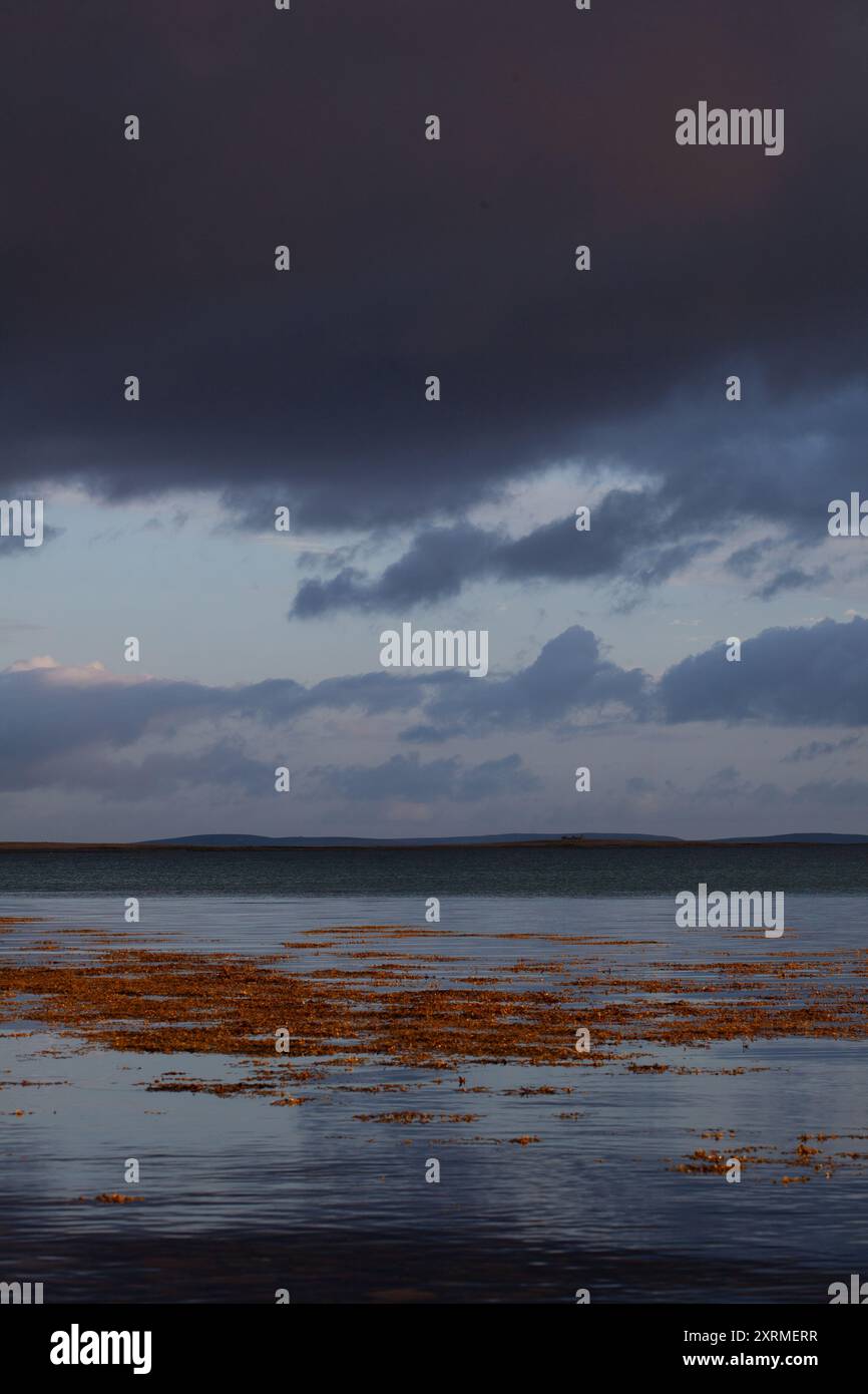 Stronsay hi-res stock photography and images - Alamy