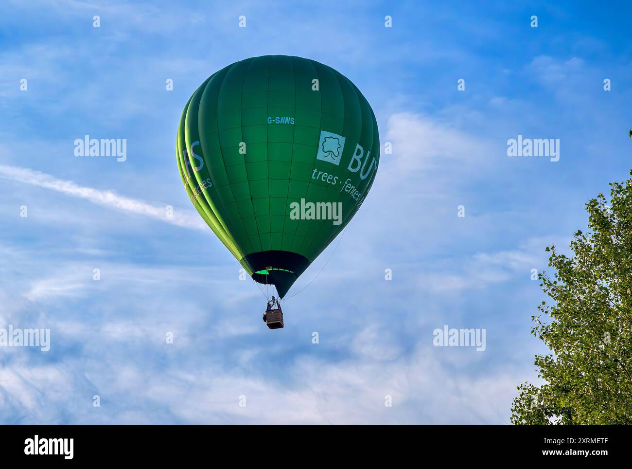 Green sunlit balloon in the golden hour, from the 2024 Bristol Balloon ...