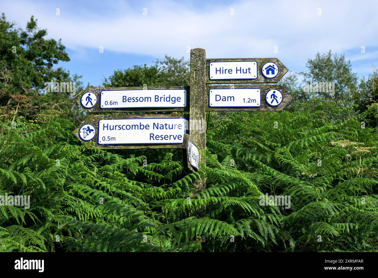 Trail signpost in amongst ferns at Wimbleball Lake on Exmoor National ...