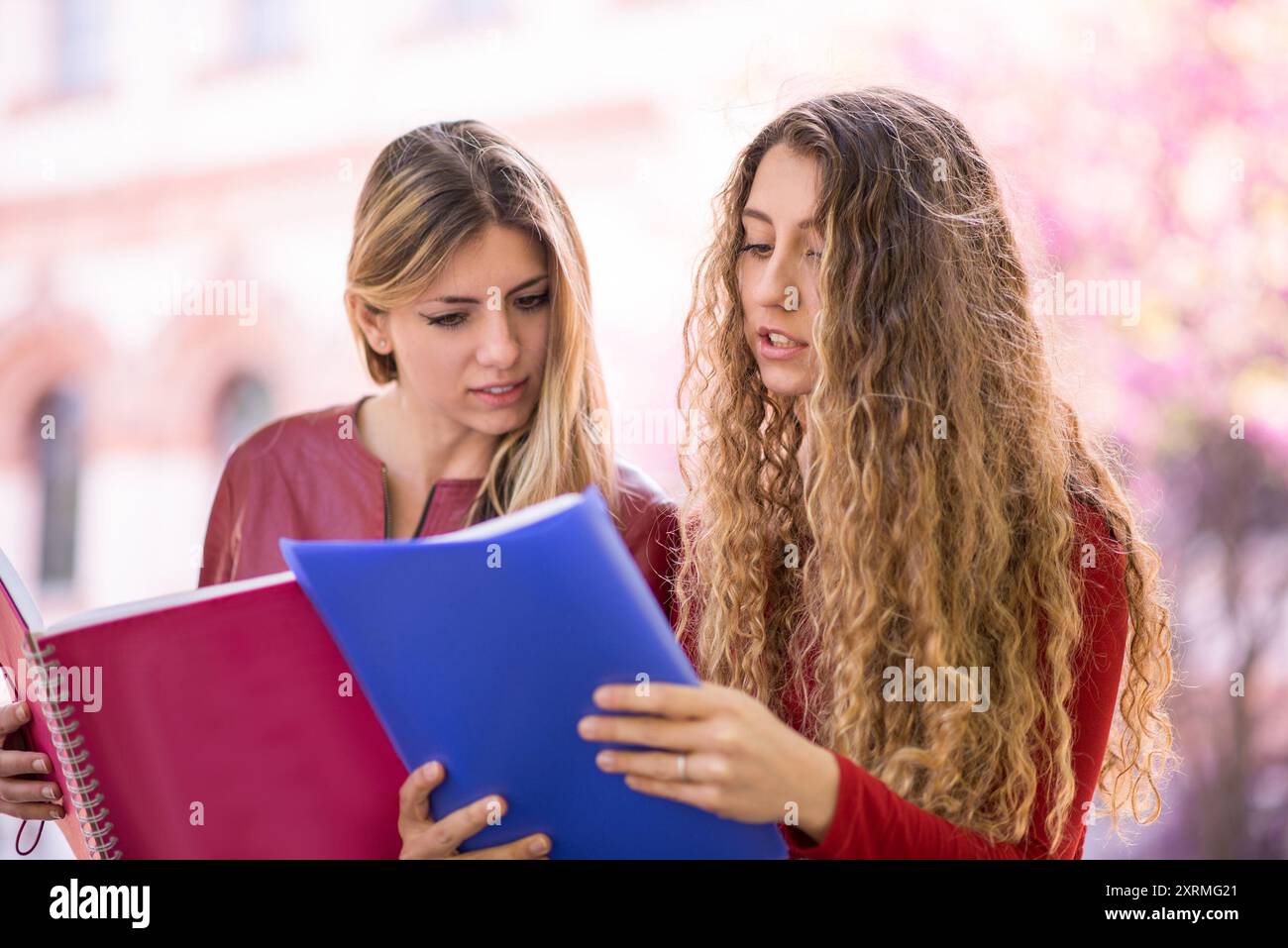 College female students studying outdoors Stock Photo - Alamy