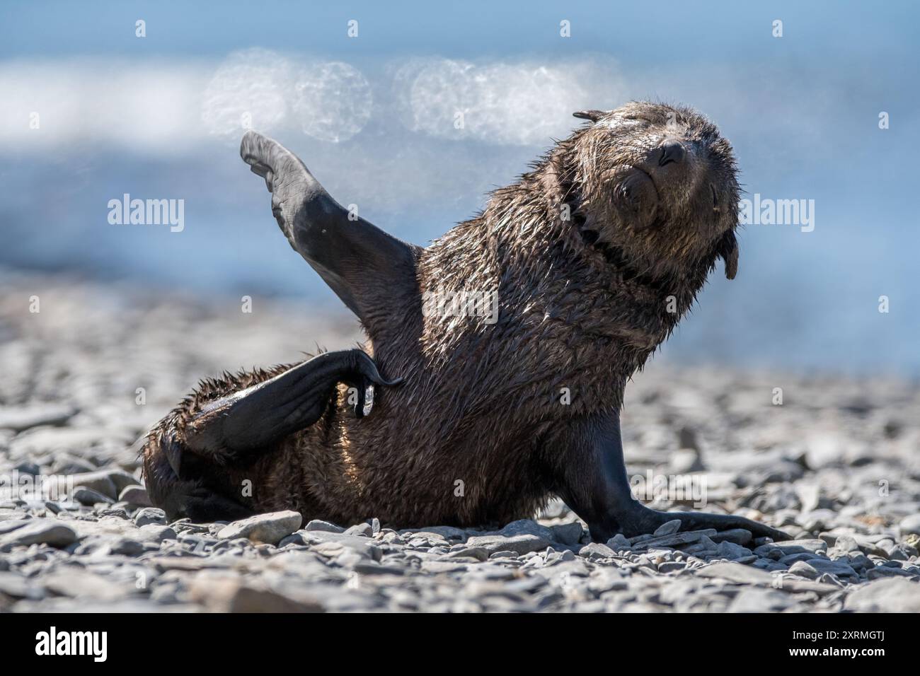 Baby acrobatic hi-res stock photography and images - Alamy