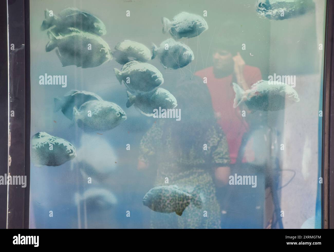 London, UK. 11th August 2024. A detail of the new Banksy artwork on a ...