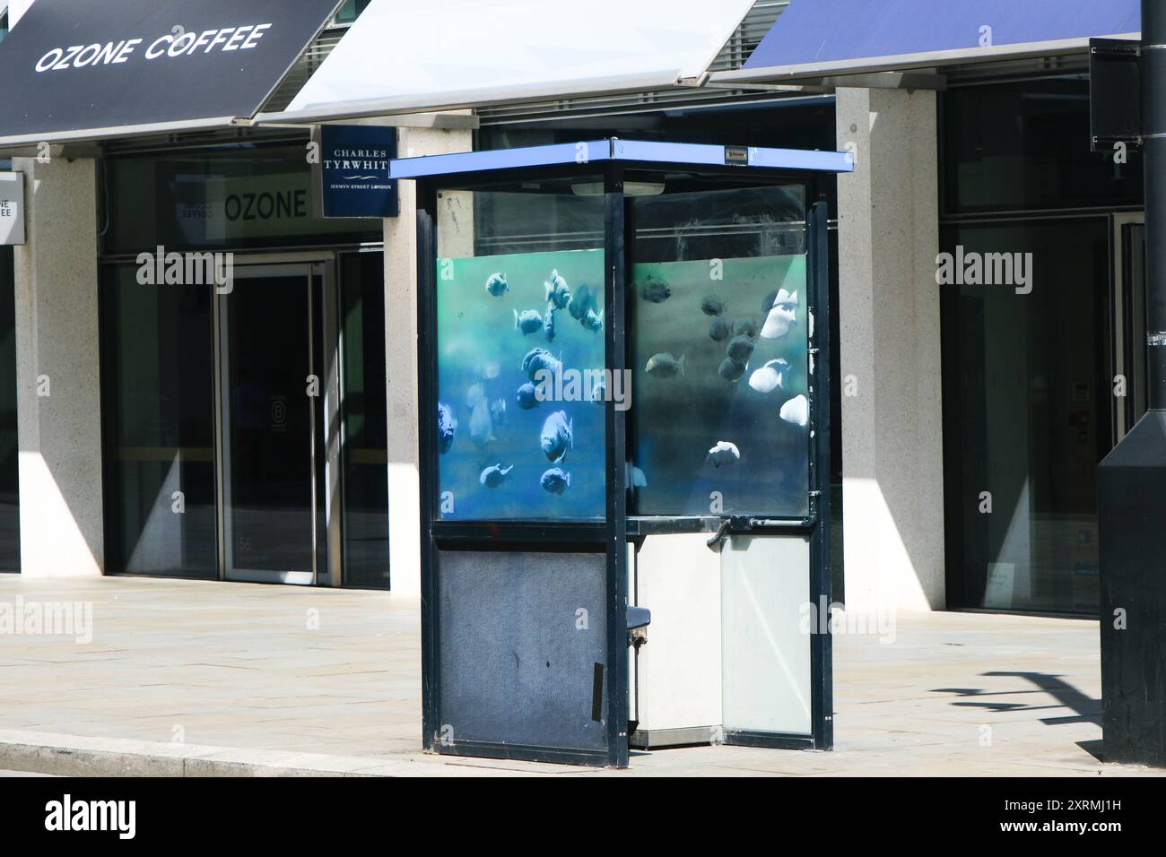 City of London, UK. 11th Aug 2024. 'Banksy' Piranha fish appear in City ...