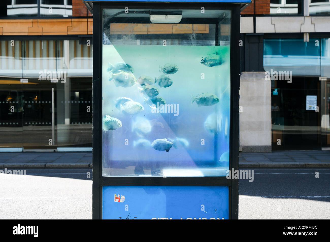 City of London, UK. 11th Aug 2024. 'Banksy' Piranha fish appear in City ...