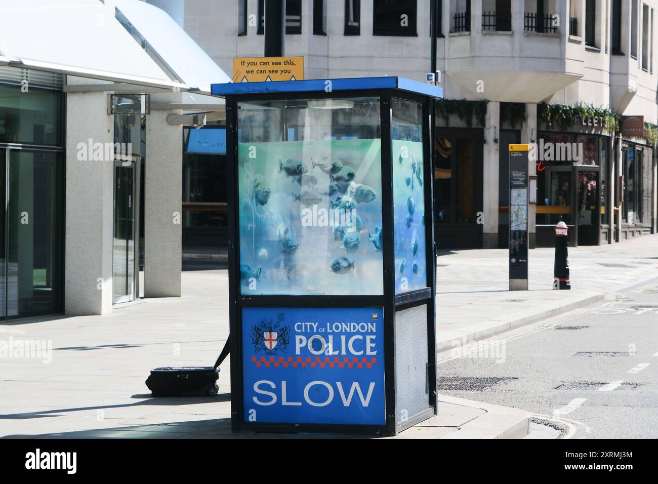 City of London, UK. 11th Aug 2024. 'Banksy' Piranha fish appear in City ...