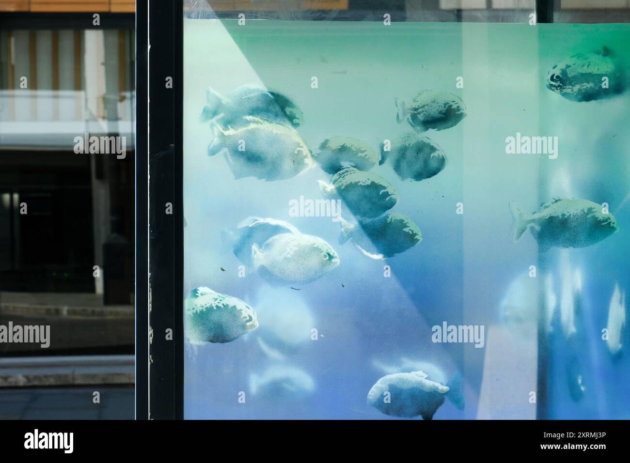 City of London, UK. 11th Aug 2024. 'Banksy' Piranha fish appear in City ...