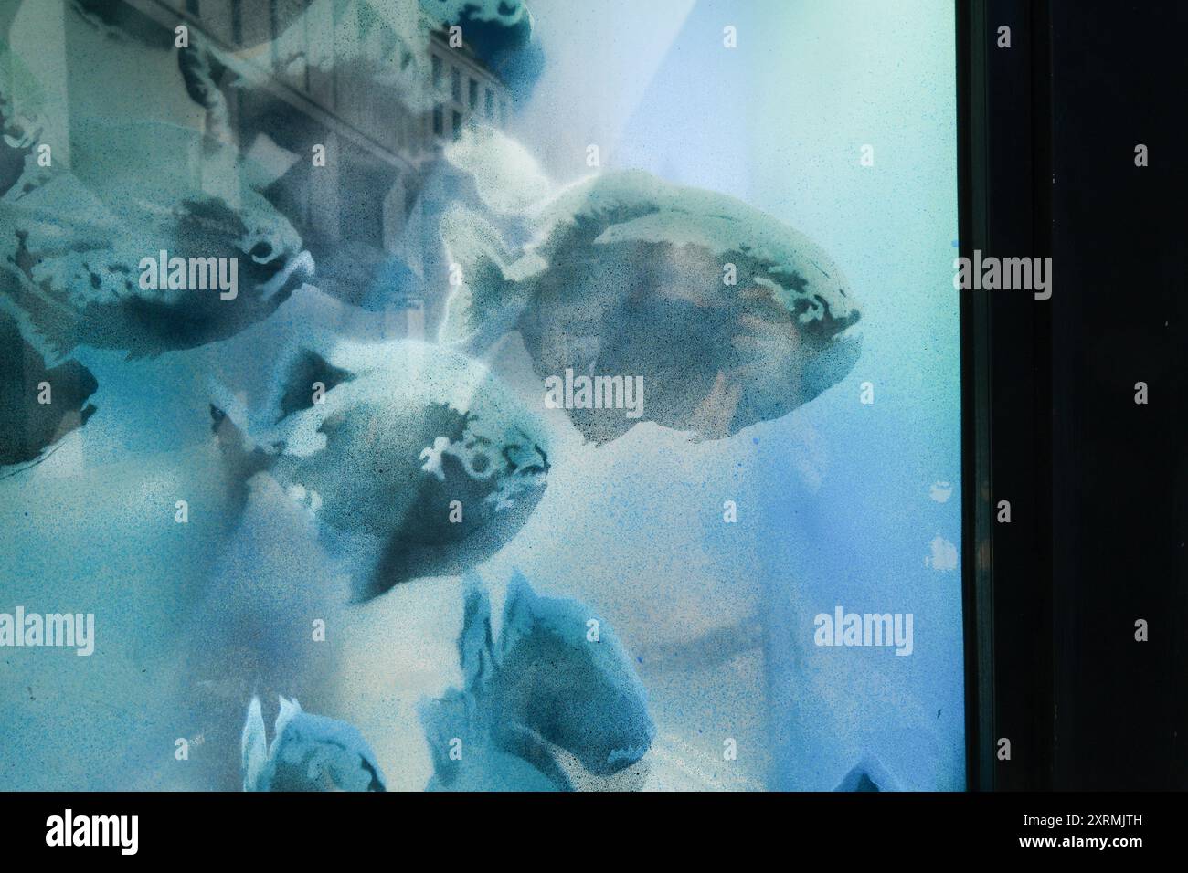 City of London, UK. 11th Aug 2024. 'Banksy' Piranha fish appear in City ...