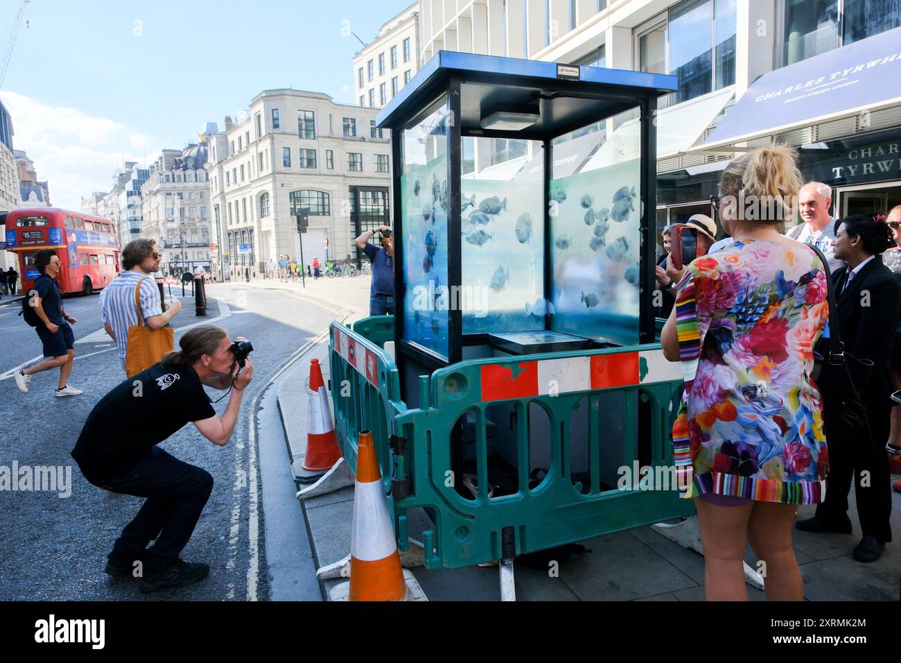 City of London, UK. 11th Aug 2024. 'Banksy' Piranha fish appear in City ...