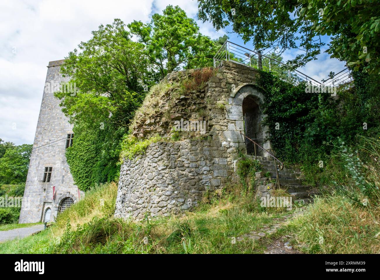 Salamandre hi-res stock photography and images - Alamy