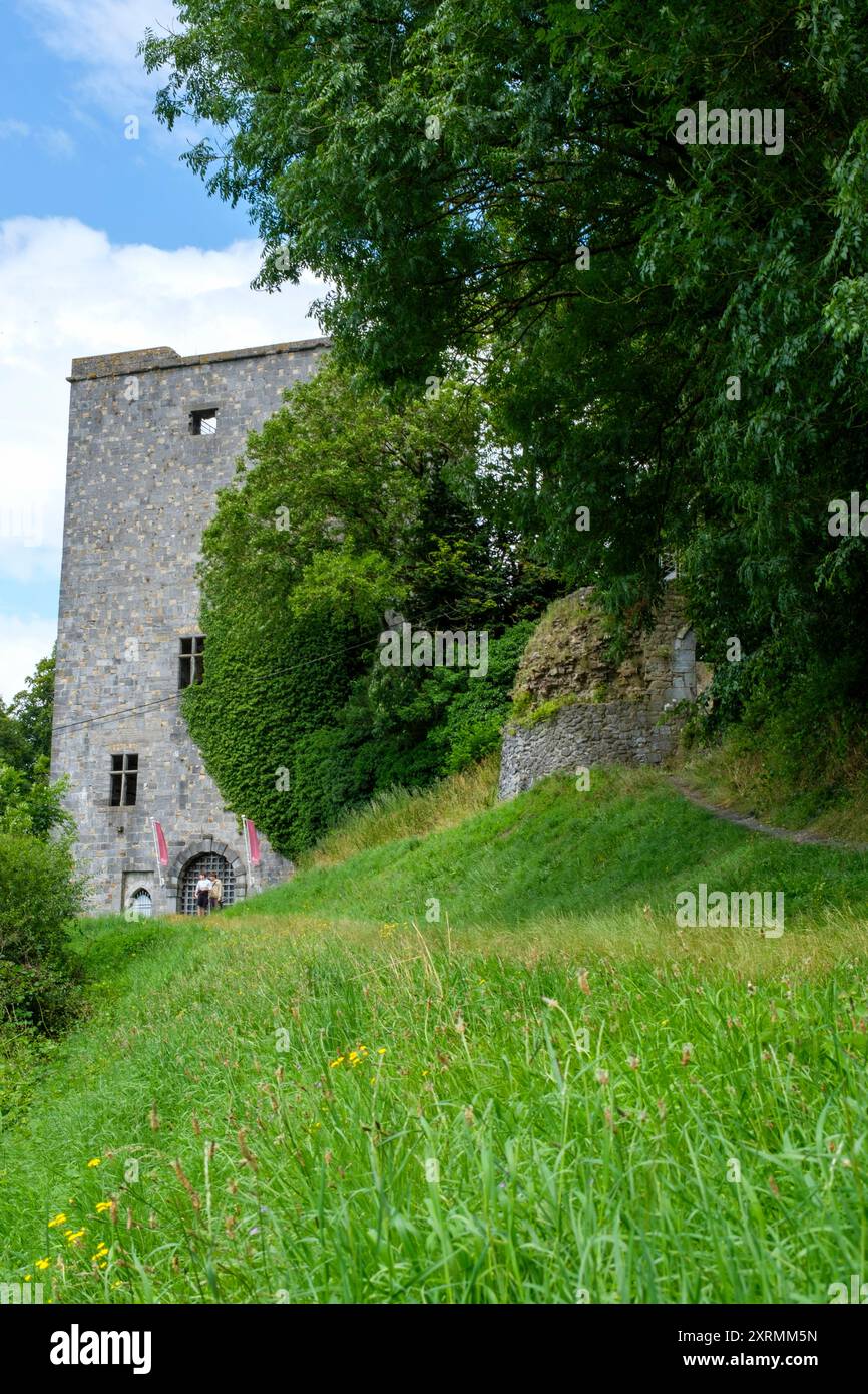 Beaumont Salamander tower | Beaumont Tour salamandre Stock Photo - Alamy