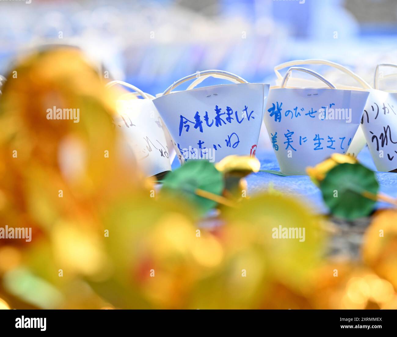 Messages for the 520 victims of the 1985 Japan Air Lines (JAL) Flight ...