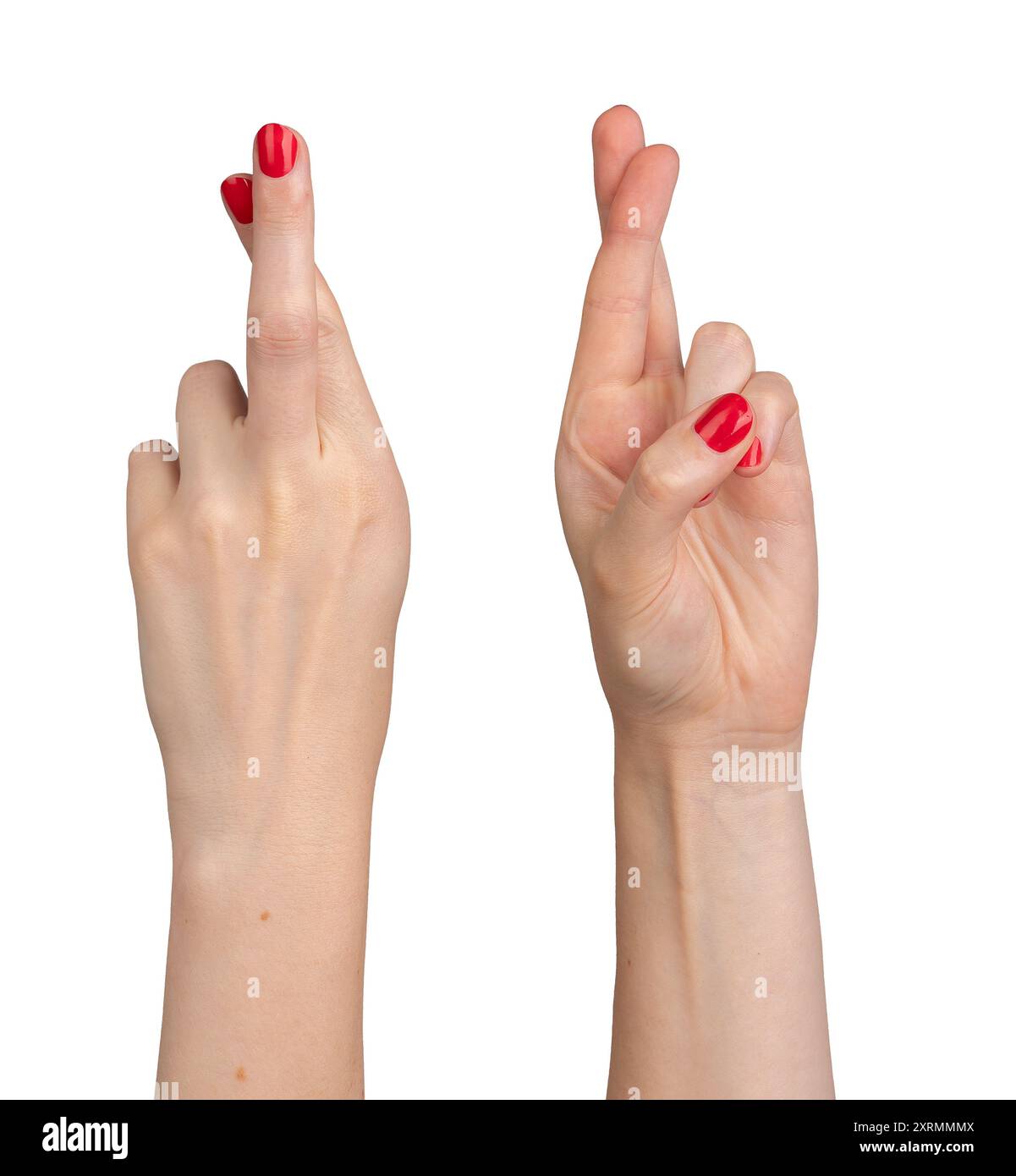 crossing fingers sign, liar gesture, isolated on white background Stock ...