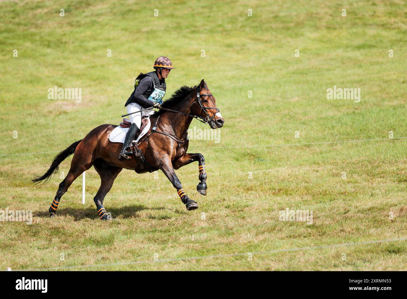 Tom Bird of Great Britain with Cowling Hot Gossip during the CCI4*S ...