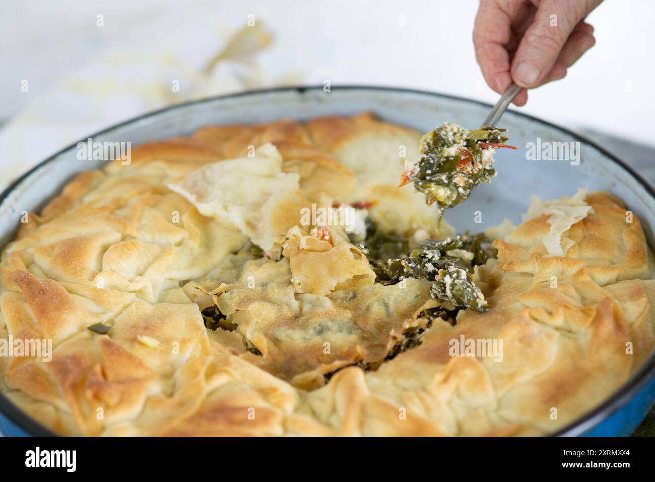 Close up of an old woman hand taking pie filling with a fork. Serving ...