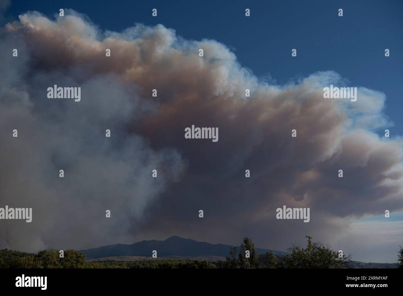 Smoke rises from a wildfire that broke out in Varnava village, north of ...