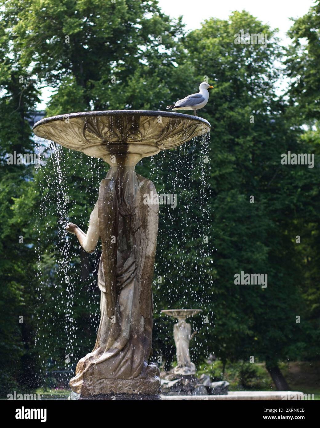 A seagull perches atop a unique water fountain shaped like a woman, her ...