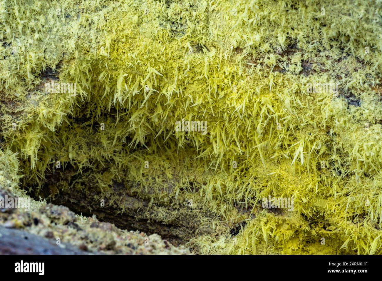 Natural needle like crystals of Sulphur (S) formed in the opening of a ...