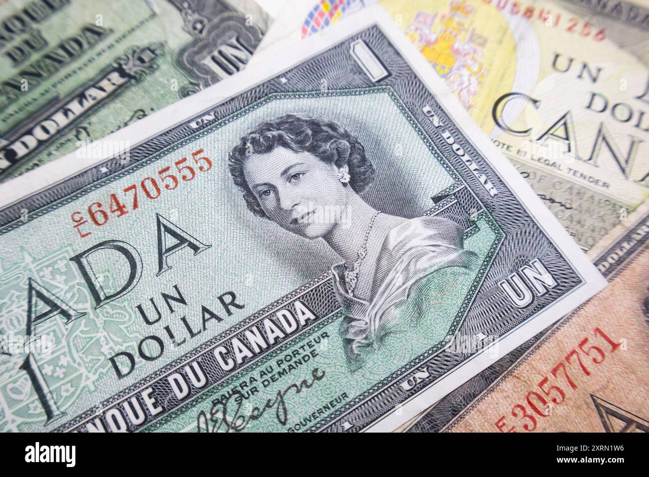 Bank of Canada Dollar Bill with young Queen Elizabeth on face Stock ...