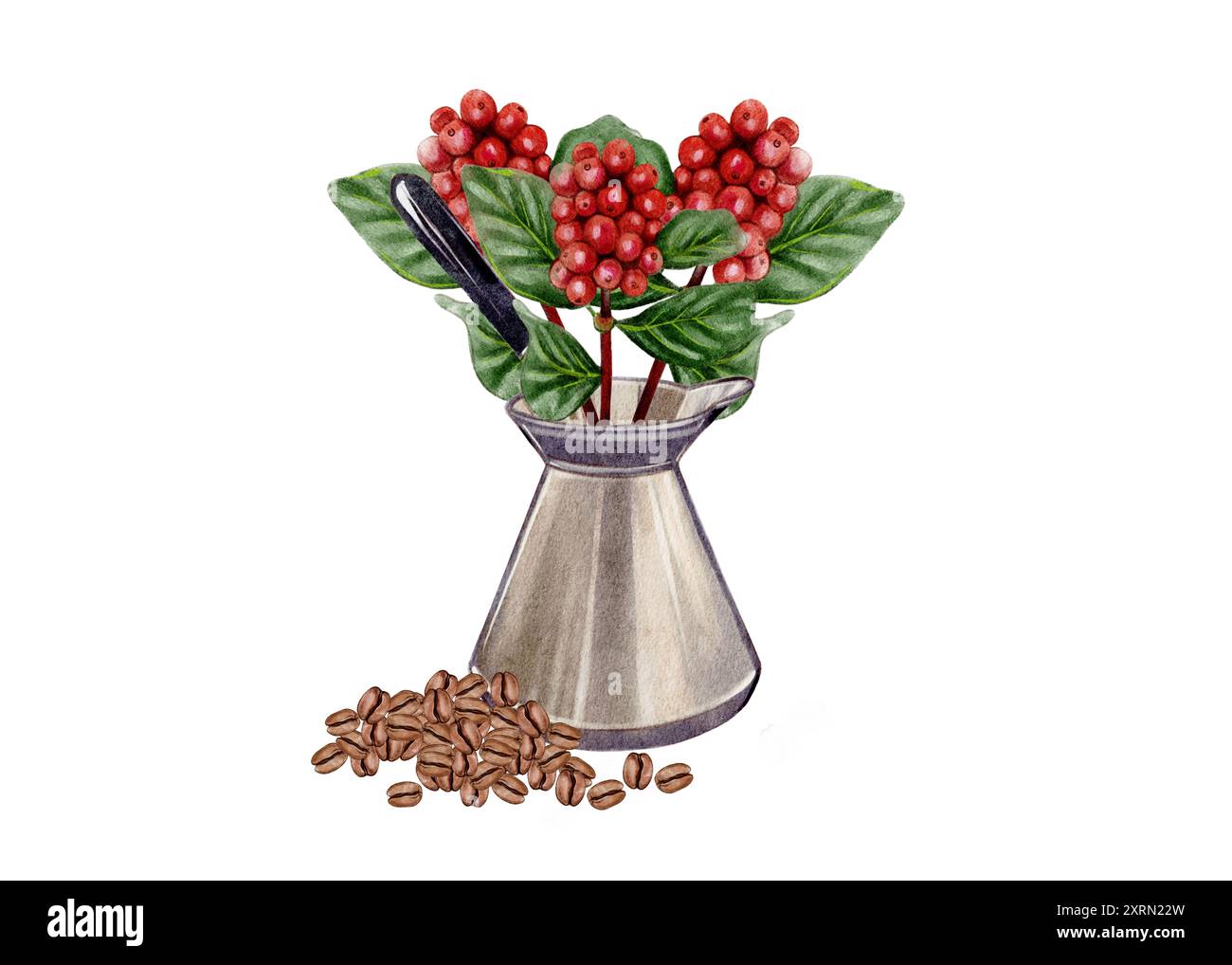 Watercolor illustration, art, coffee branches, bouquet in a Turk ...
